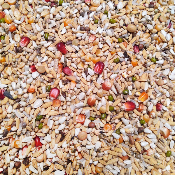 VANROBAEYS 57 Sport Light Pro Revolution